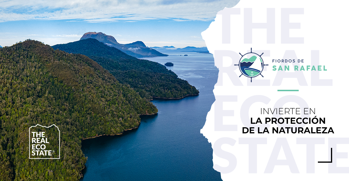 The Real Eco State | Fiordos de San Rafael