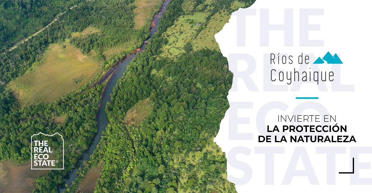 Tour 360 - Ríos de Coyhaique